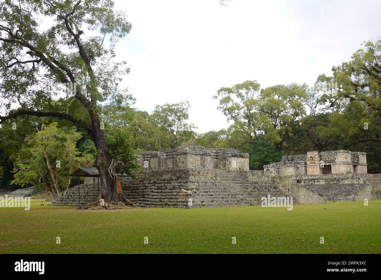 Ruins of an ancient Mayan City, Copan, Honduras, Central America Stock ...