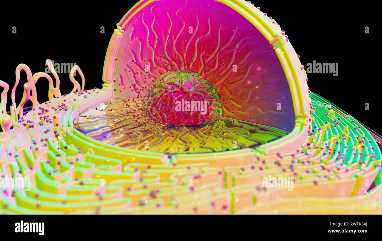 Abstract illustration of the biological cell Stock Photo - Alamy