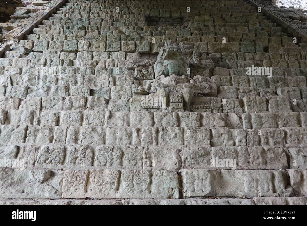 Hieroglyphic Stairway at ancient Mayan City, Copan, Honduras, Central ...