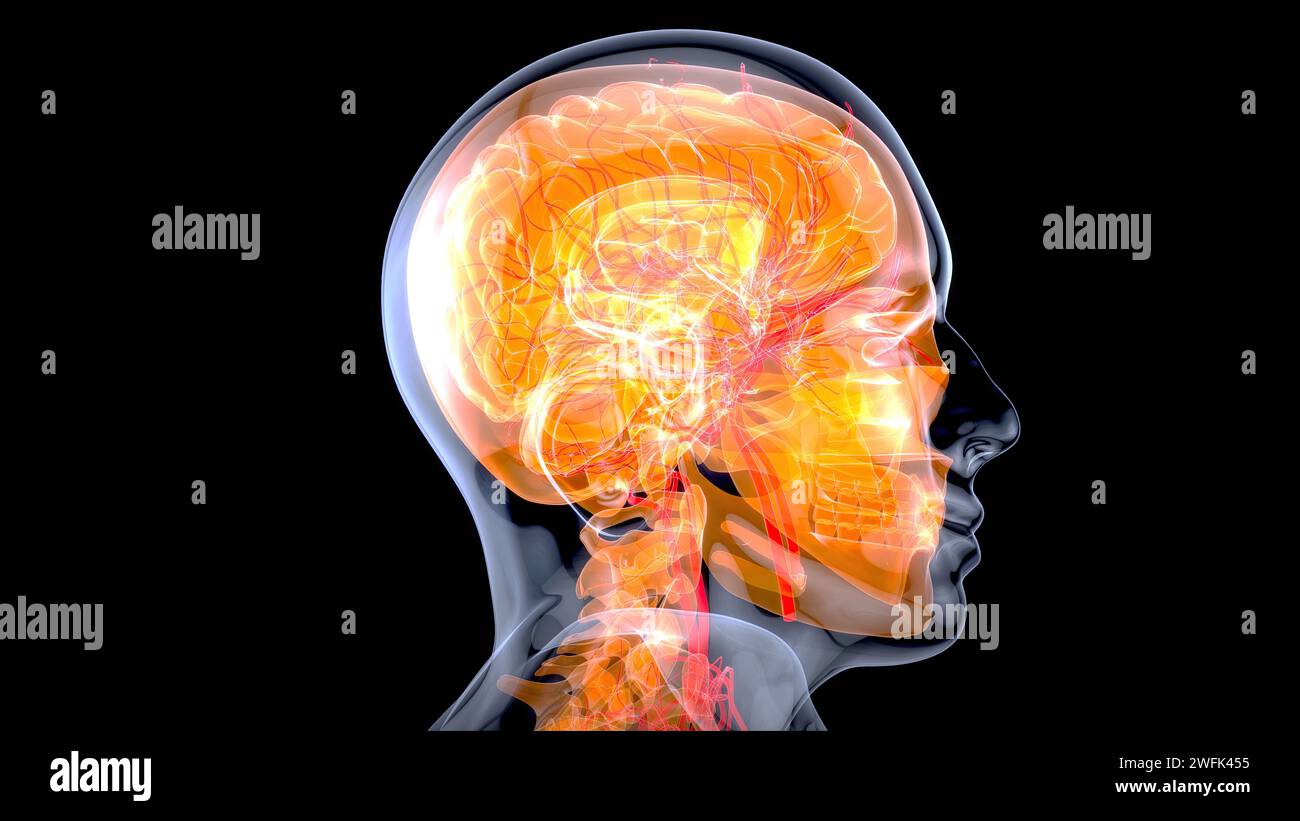 Abstract art of the brain Stock Photo - Alamy