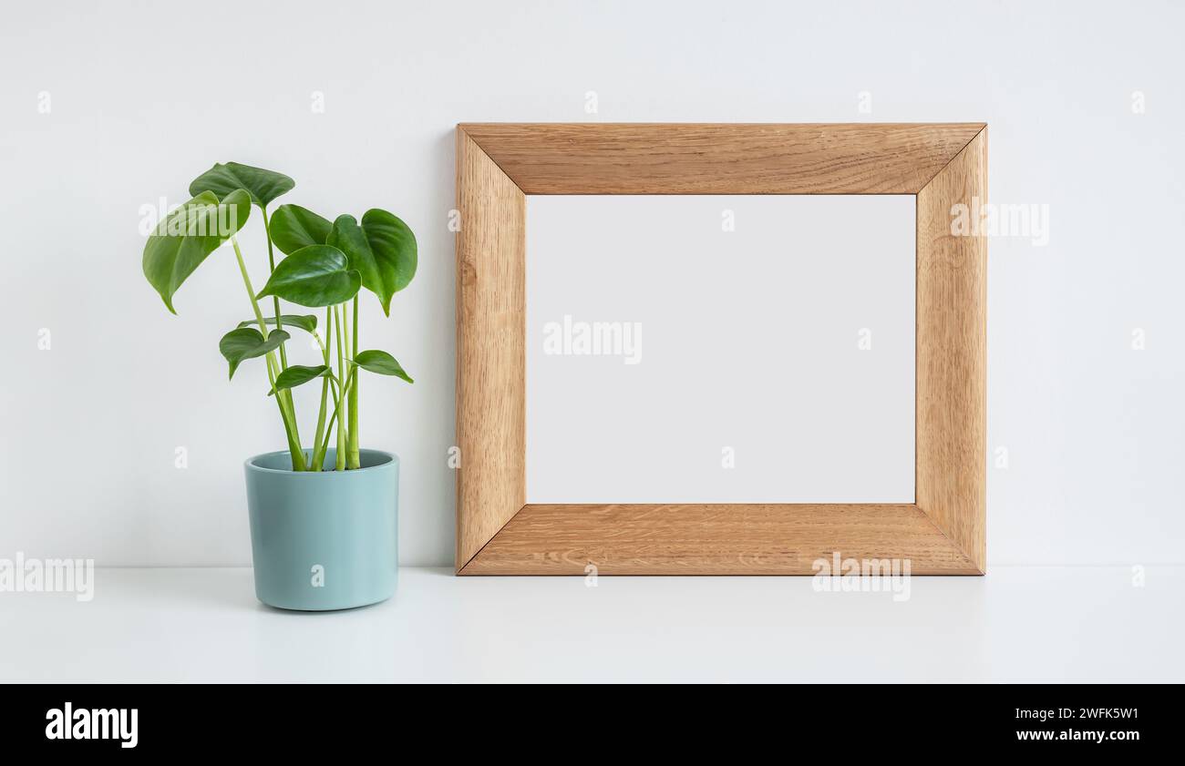 Wooden mock up photo frame and Monstera deliciosa or Swiss Cheese Plant ...