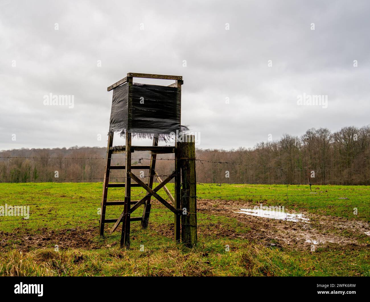 Hunters seat in the French Ardennes Stock Photo - Alamy