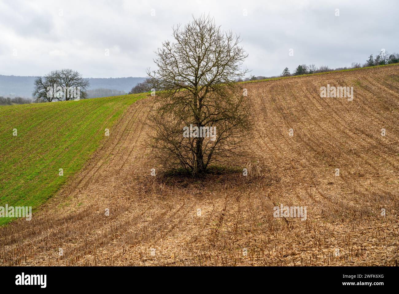 Panorama in a rural landscape in the French Ardennes Stock Photo - Alamy