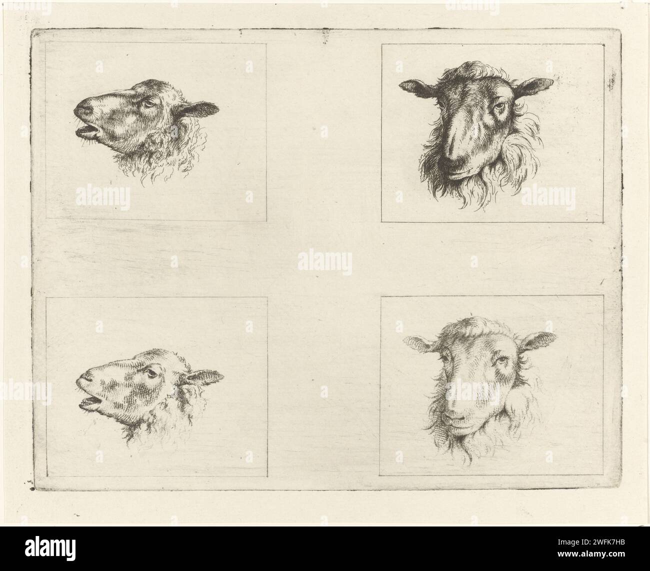 Study sheet with four sheep heads, Johannes Janson, 1761 - 1784 print ...