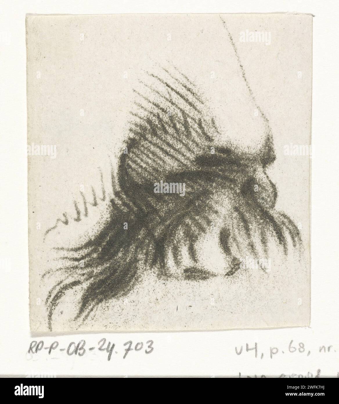 Nose with mustache, Cornelis Ploos van Amstel, 1756 print Amsterdam ...