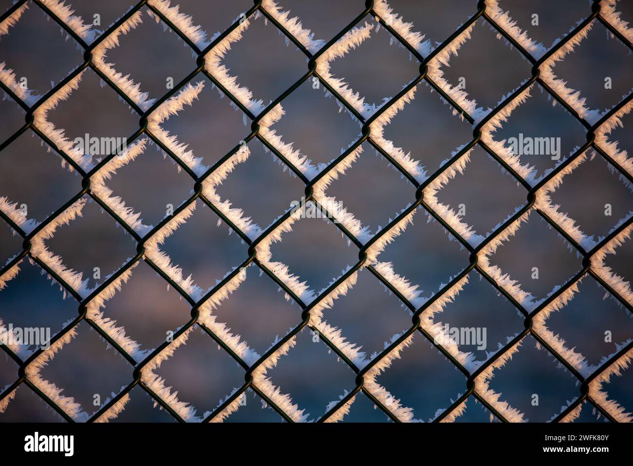 Seamless texture metal mesh fence hi-res stock photography and images ...