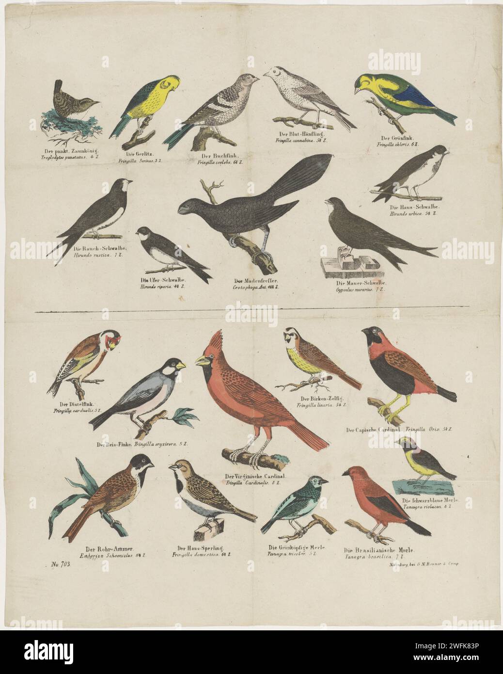 Birds, 1837 - 1868 print Leaf with 20 performances of birds, such as a ...