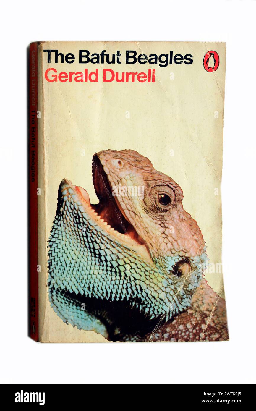 The Bafut Beagles by Gerald Durrell. Book cover on white background ...