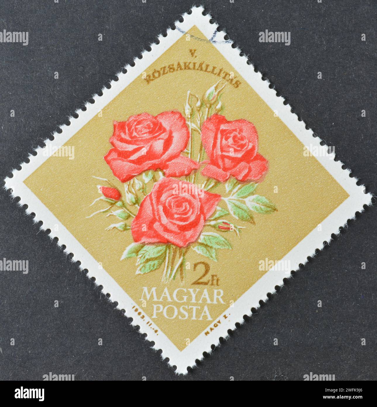 Cancelled postage stamp printed by Hungary, that shows Roses, 5th ...