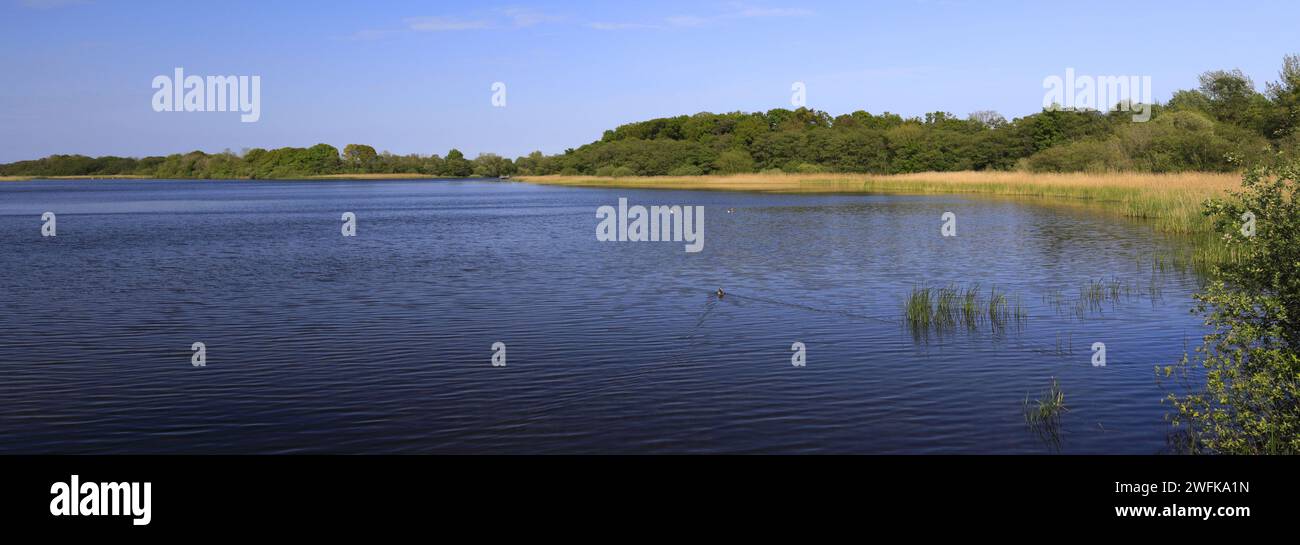 Summer view over Filby Broad, Norfolk Broads National Park, England, UK ...