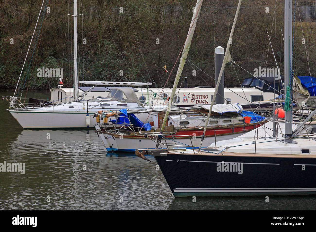 The Sitting Duck barge / narrowboat and other boats / yachts moored on ...