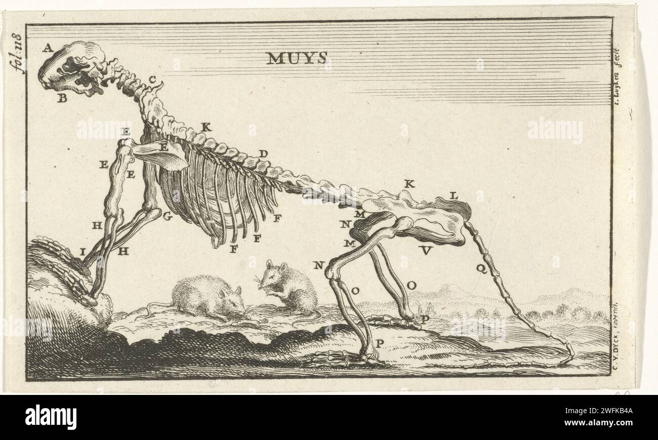 Frame of a mouse, Jan Luyken, After Cornelis van Dyk, 1680 print Print ...