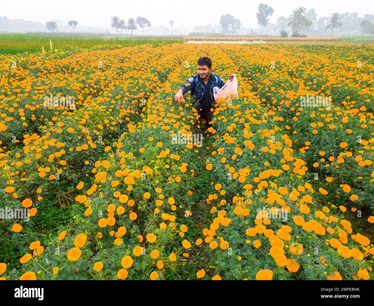 Gadkhali jessore bangladesh hi-res stock photography and images - Alamy