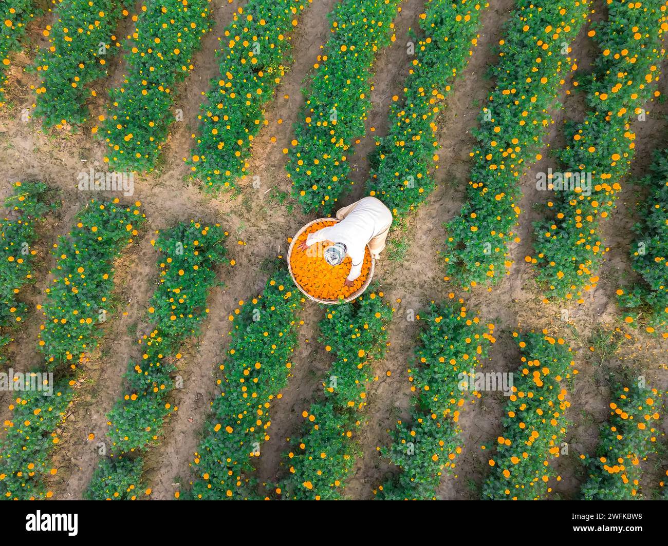 Gadkhali jessore bangladesh hi-res stock photography and images - Alamy