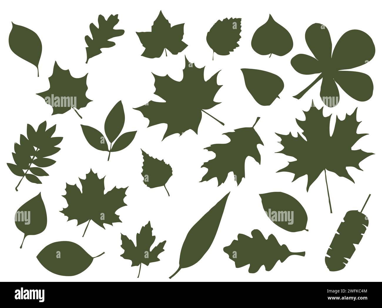 Set of leaf silhouettes. Leaves of deciduous forest trees Stock Vector ... Set of leaf silhouettes. Leaves of deciduous forest trees Stock Vector ...