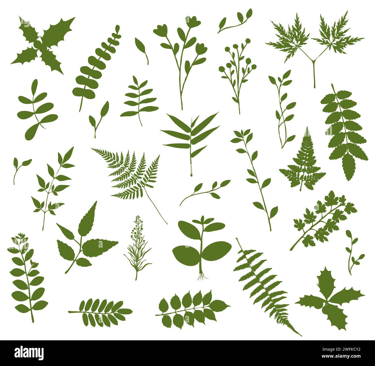 Decorative large leaves Stock Vector Images - Alamy