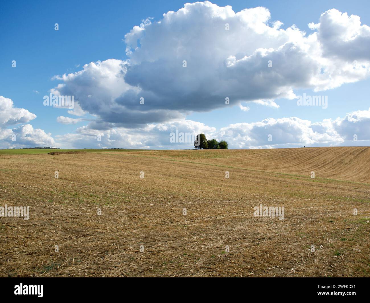 Open land hi-res stock photography and images - Alamy