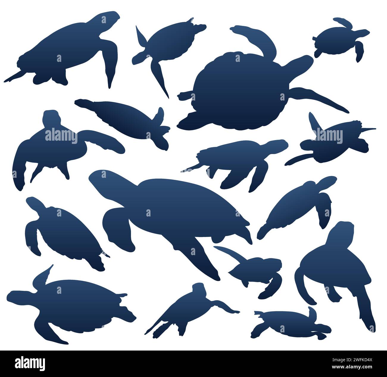 Aquatic turtles Stock Vector Images - Alamy