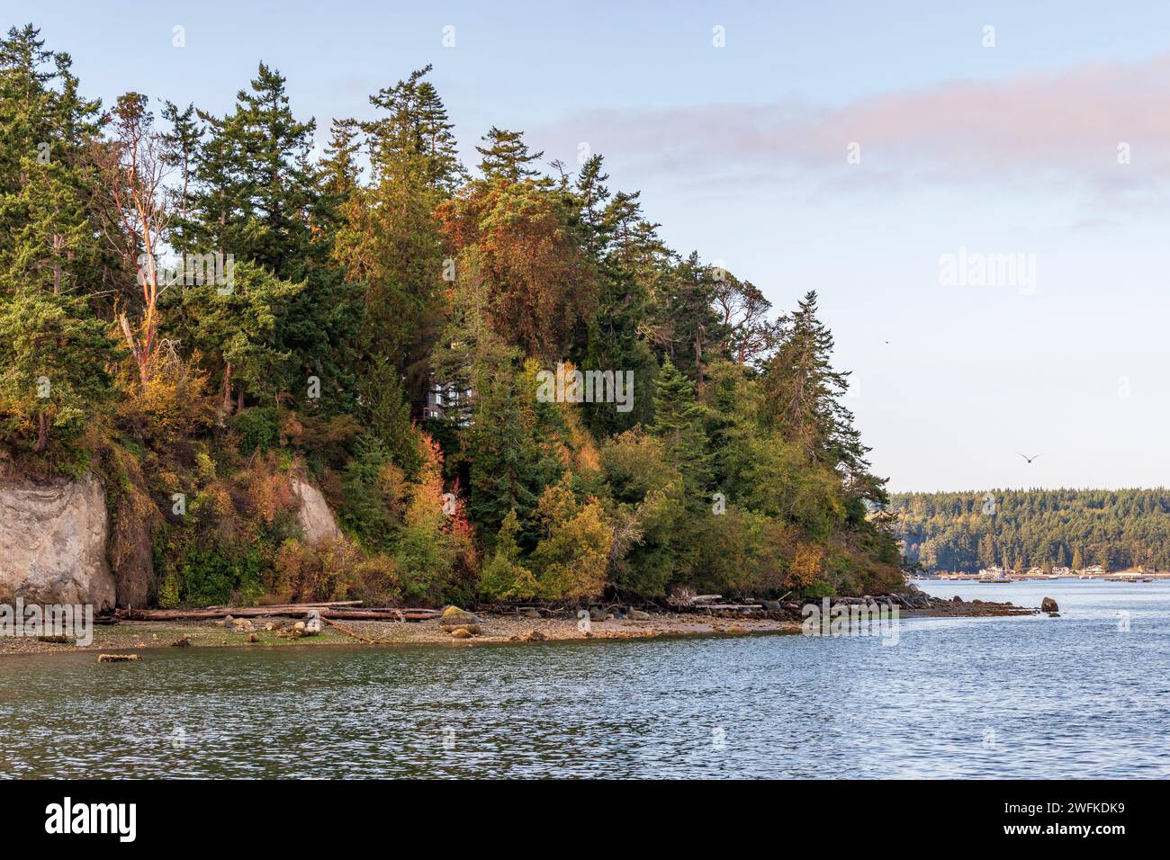 Horizontal photo of a bluff covered in evergreen and deciduous trees in ...