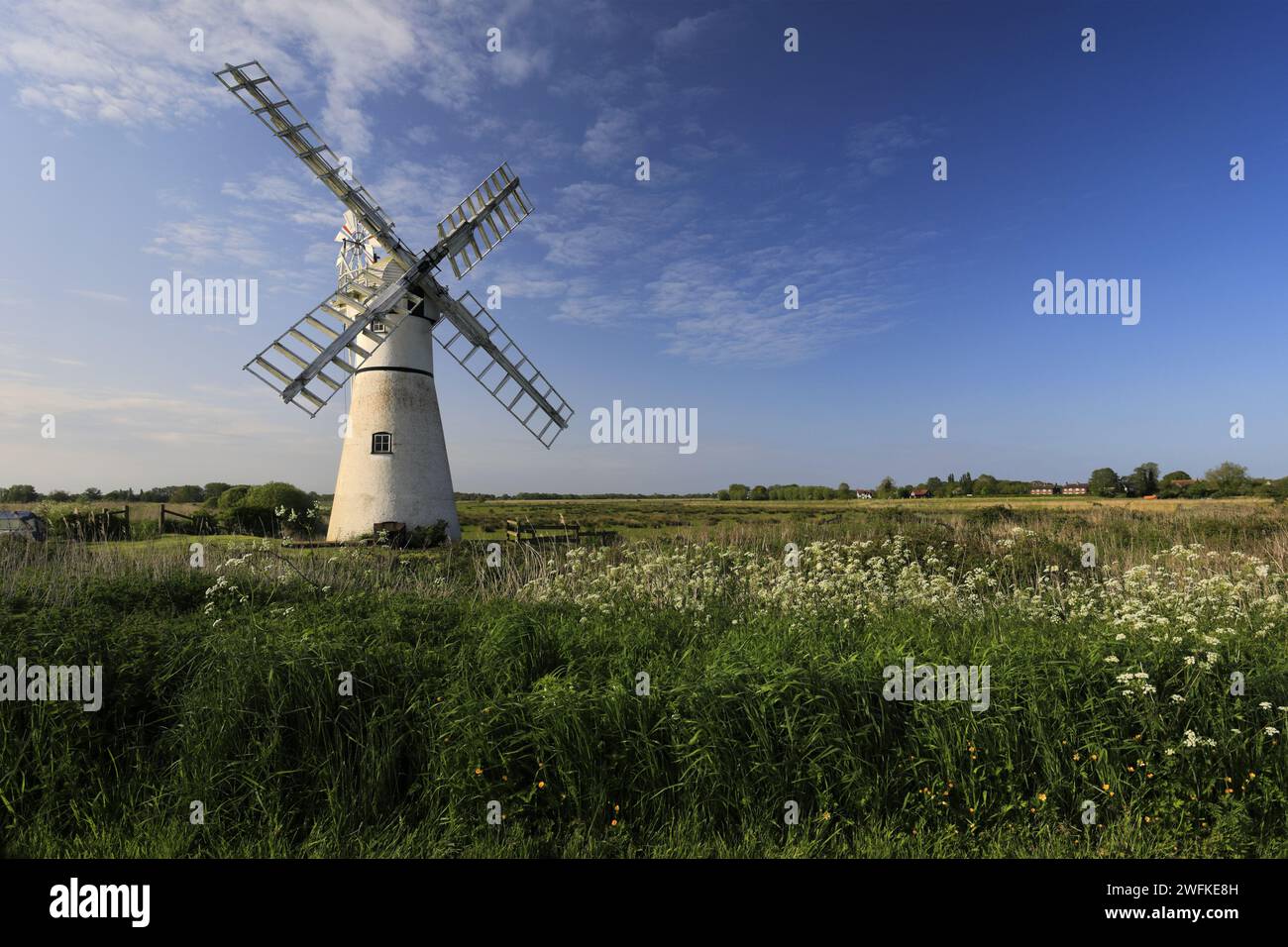 View of Thurne windmill on the river Thurne, Norfolk Broads National ...