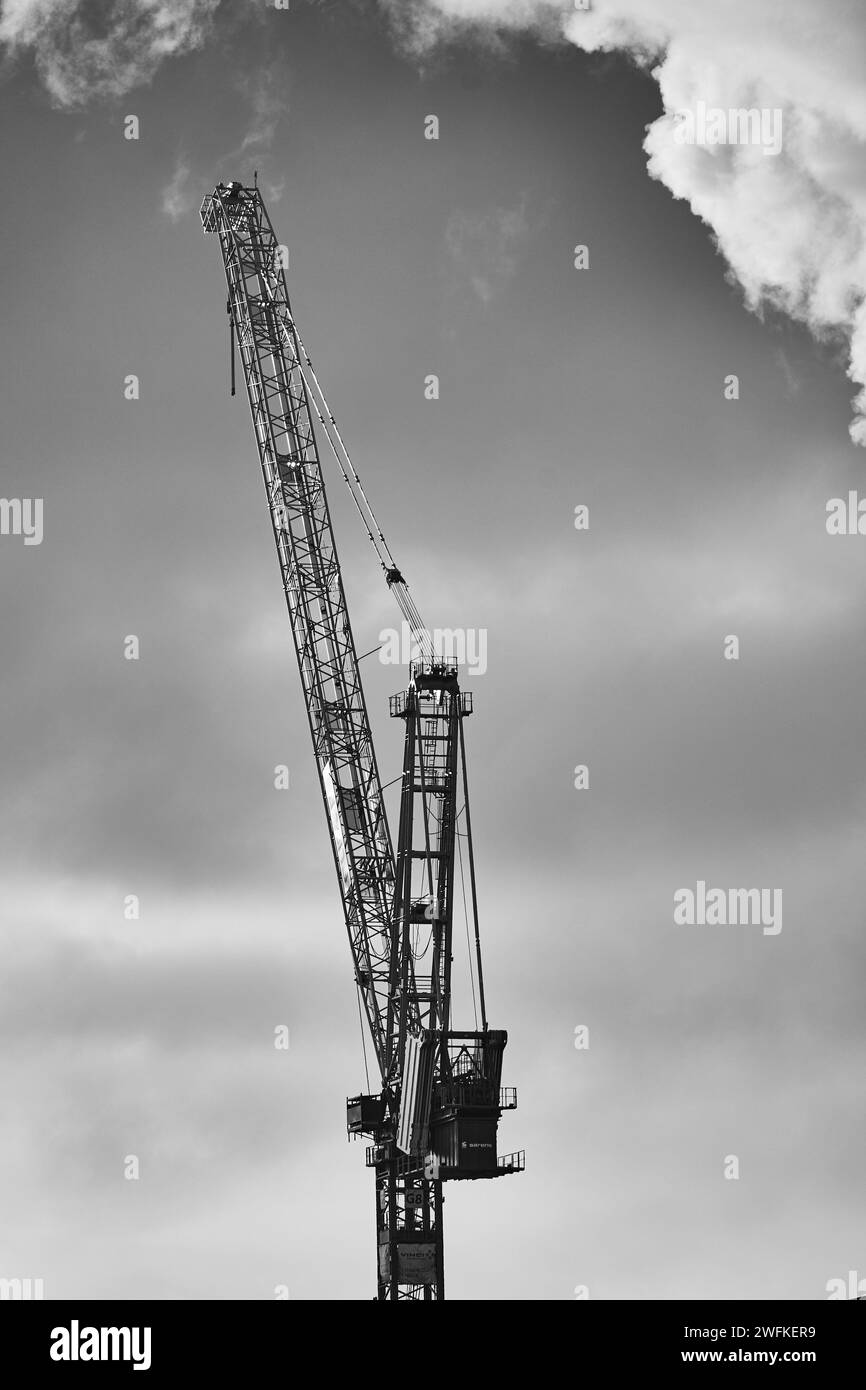 Grue hi-res stock photography and images - Alamy