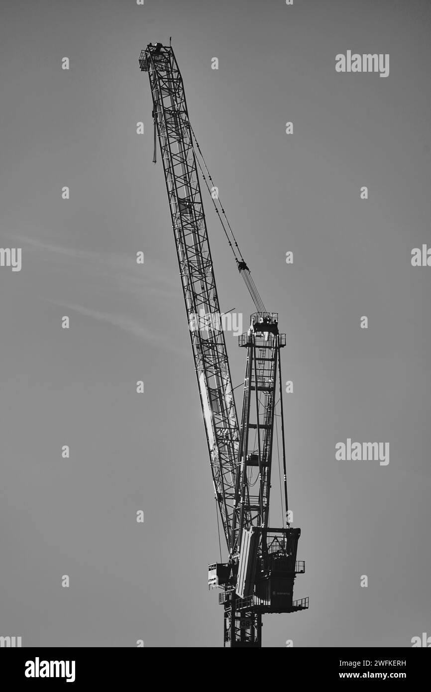 Grue hi-res stock photography and images - Alamy