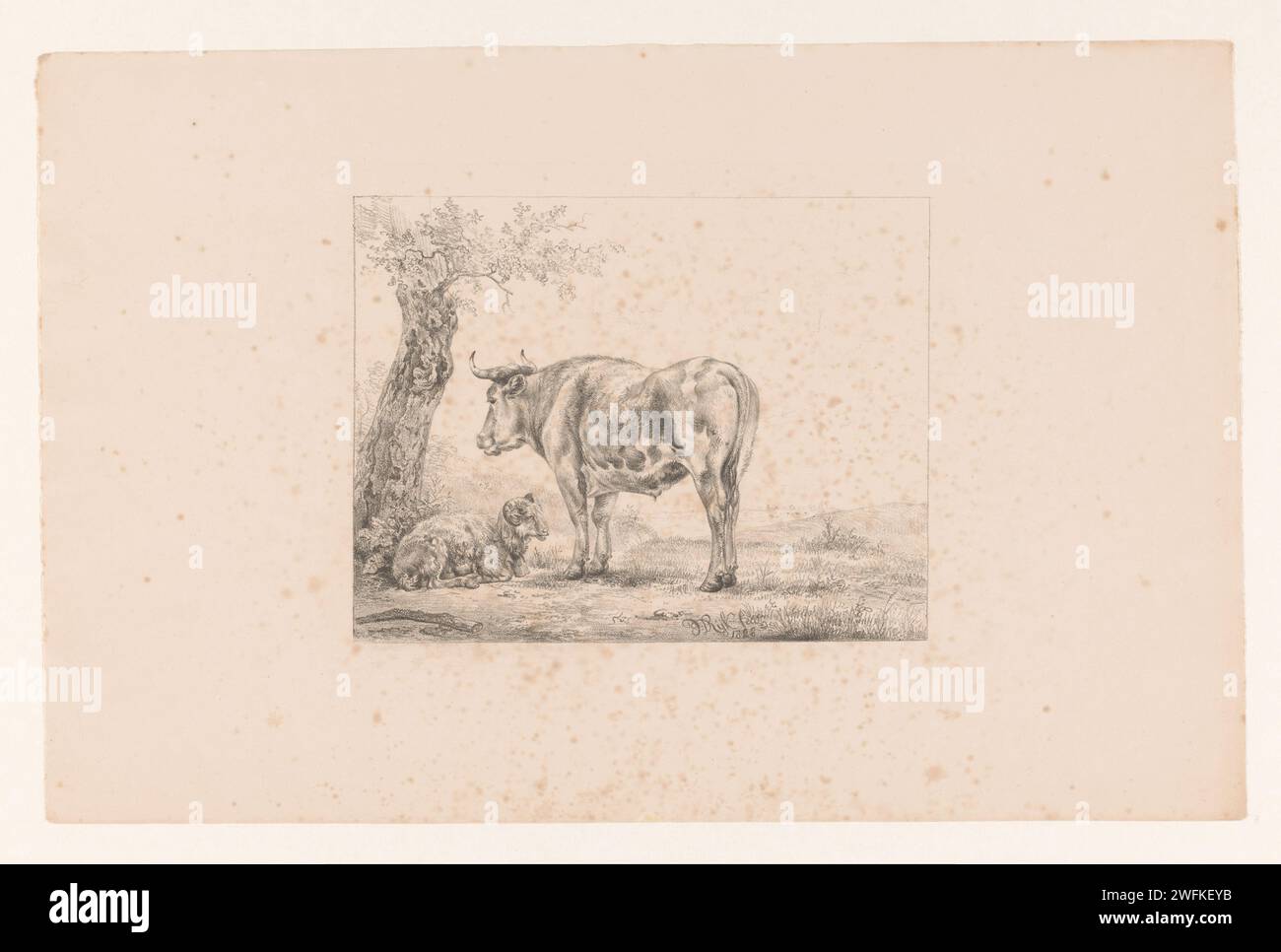Cow and a ram in a landscape, James de Rijk, 1828 print A standing cow ...