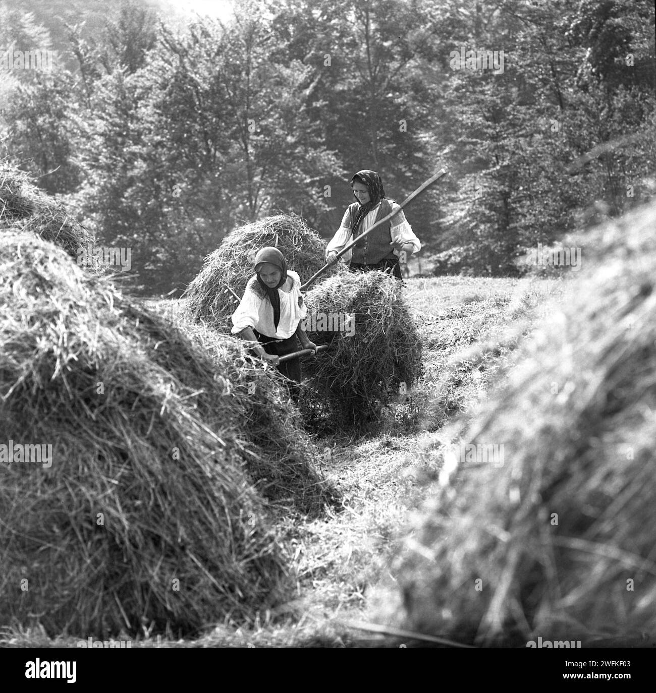 Two haystacks Black and White Stock Photos & Images - Alamy
