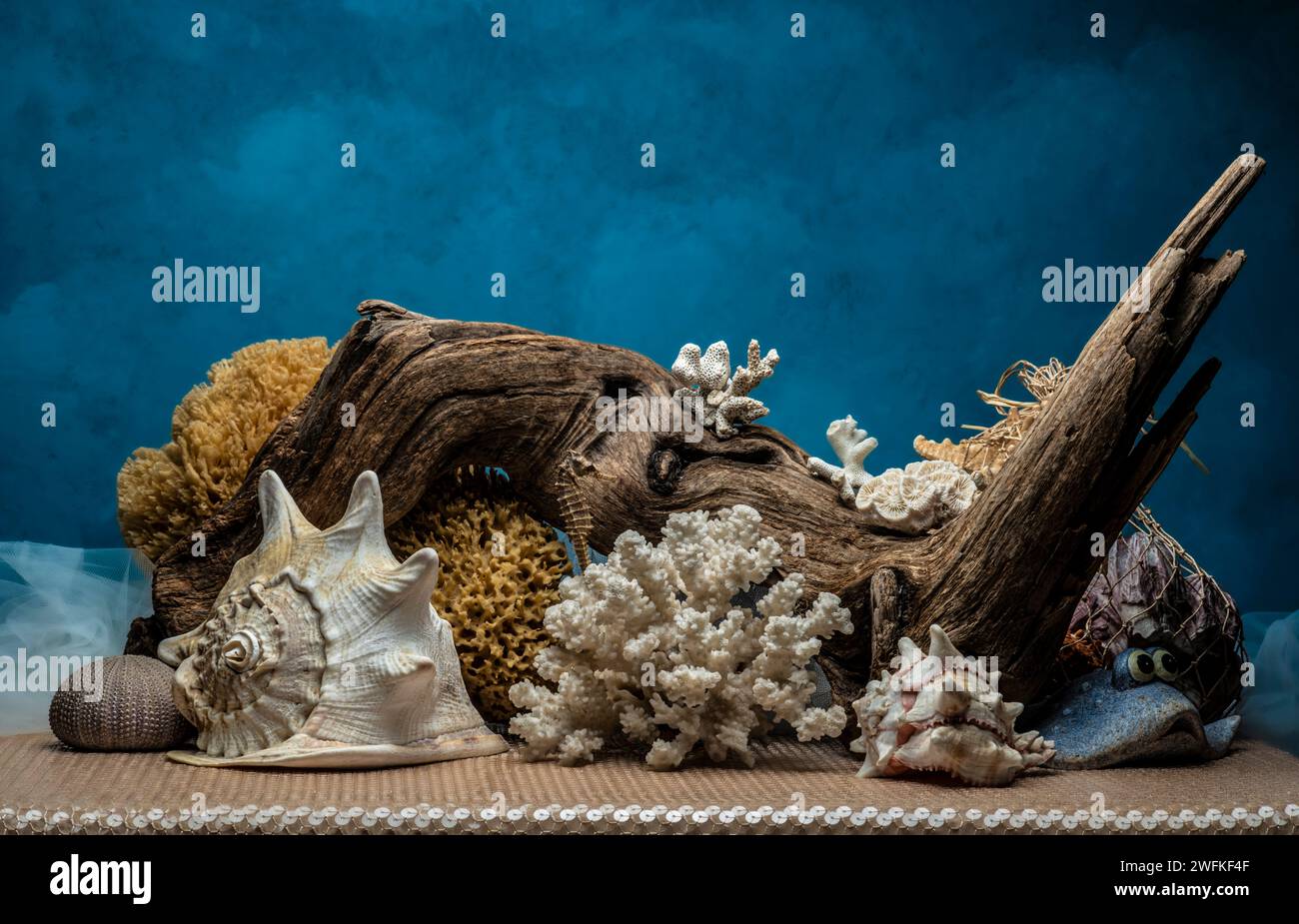 Handcrafted shell hi-res stock photography and images - Alamy