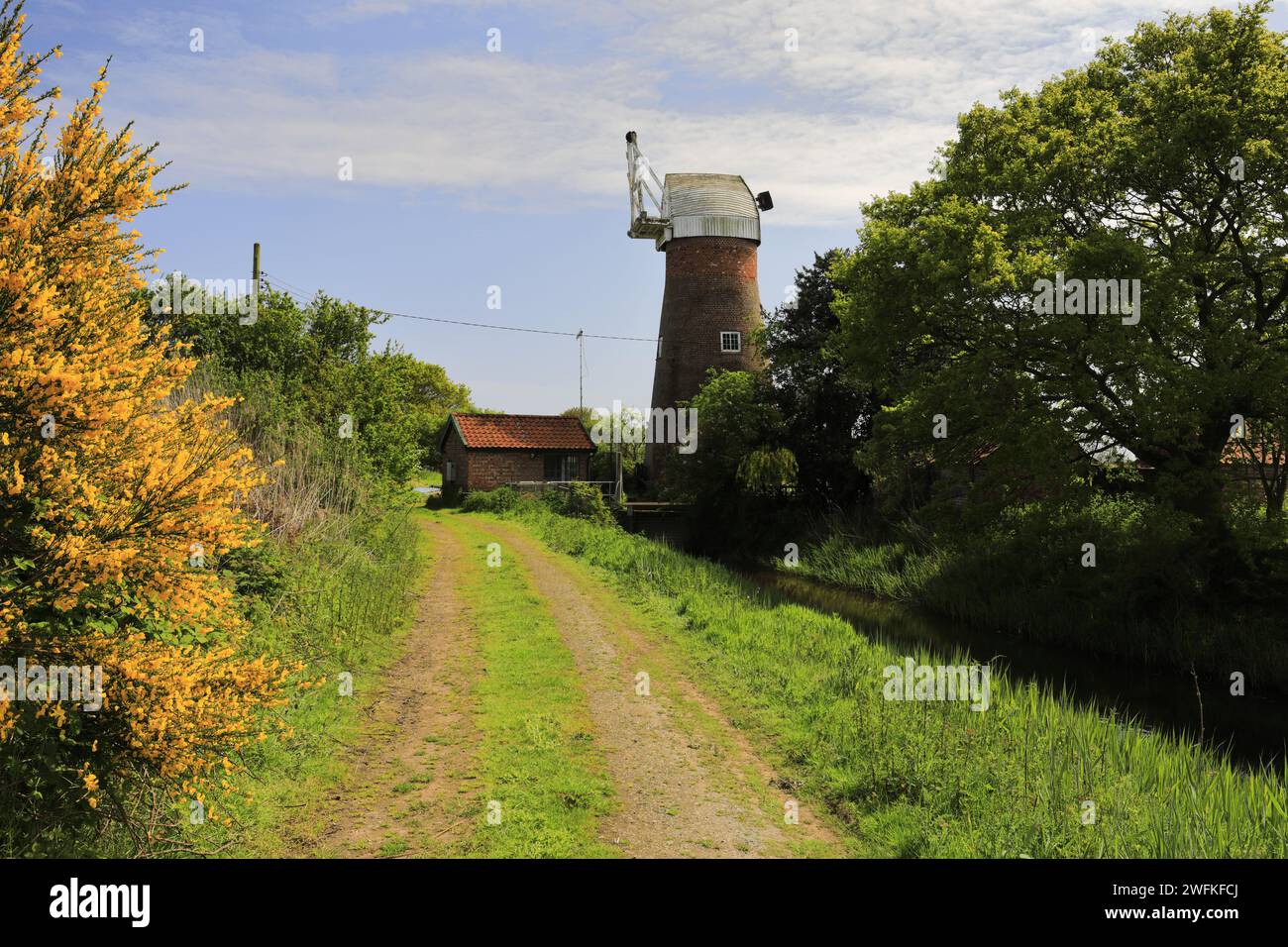 Summer view over Stubb Drainage Windmill, Hickling Broad, Norfolk ...