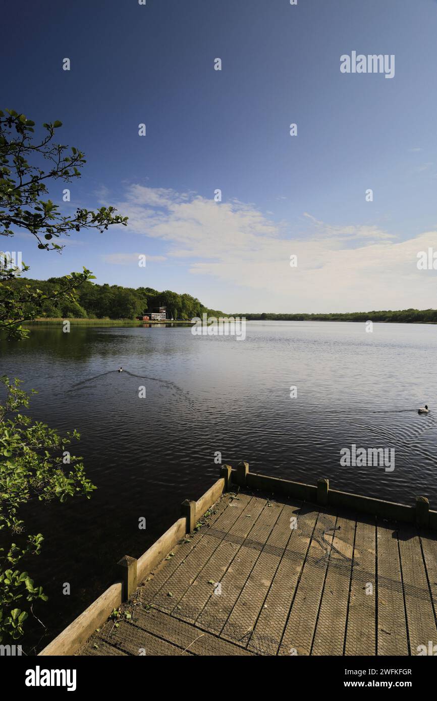 Summer view over Rollesby Broad, Norfolk Broads National Park, England ...