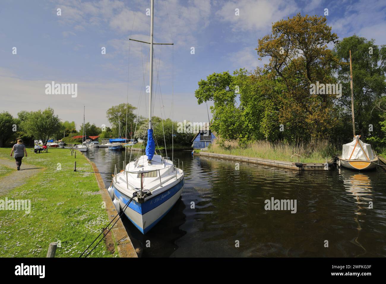 Summer view over boats at Hickling Broad, Norfolk Broads National Park ...