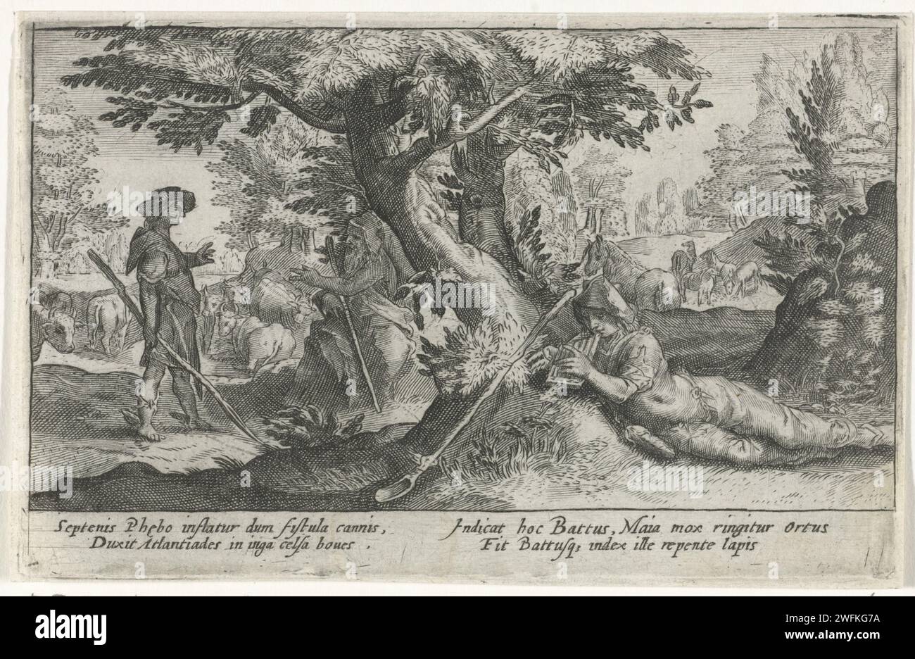 Stole cattle hi-res stock photography and images - Alamy