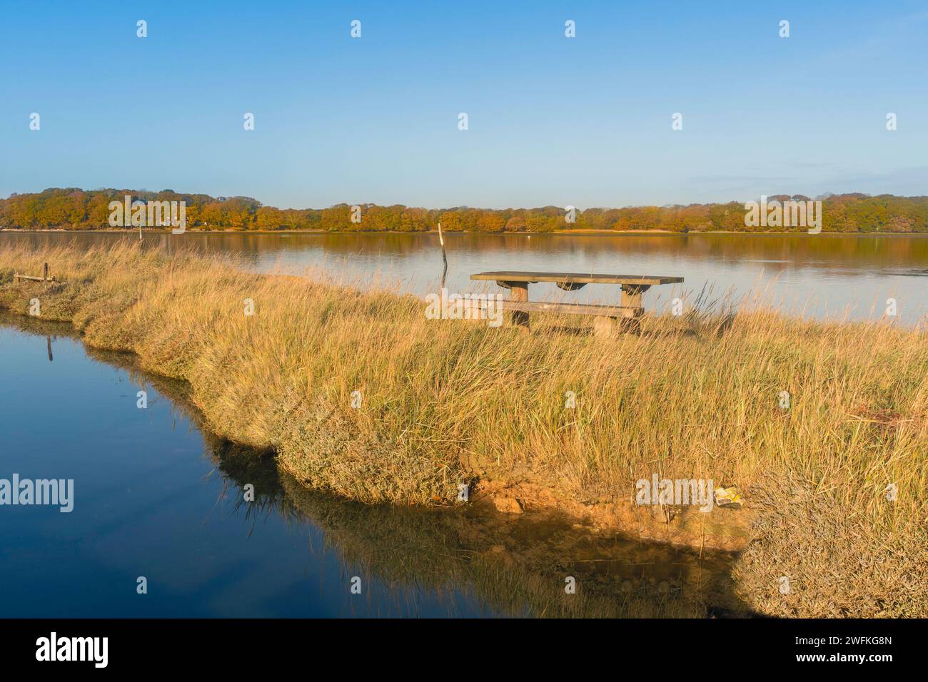 Important seat hi-res stock photography and images - Alamy