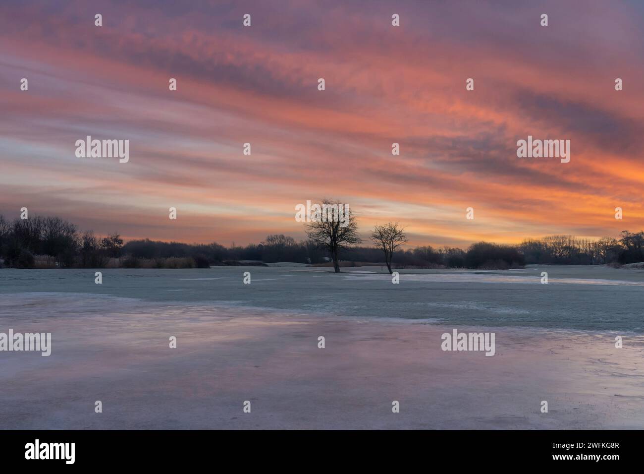A very wintery and icy scene at Chichester Golf course with a very ...
