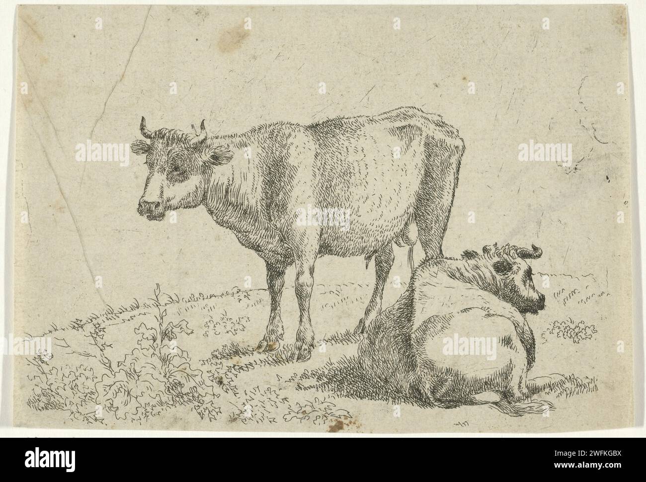 Two cows, Jan Kobell (III), 1810 - 1838 print There are a lying and a ...