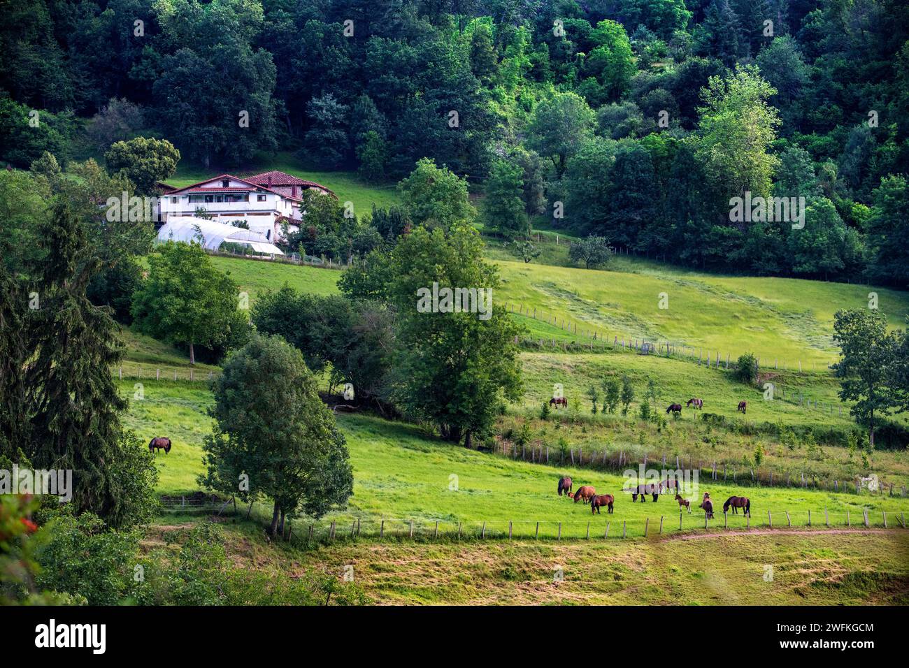 Horses in a borda Basque farmhouse in Goierri, Basque Country, Spain ...