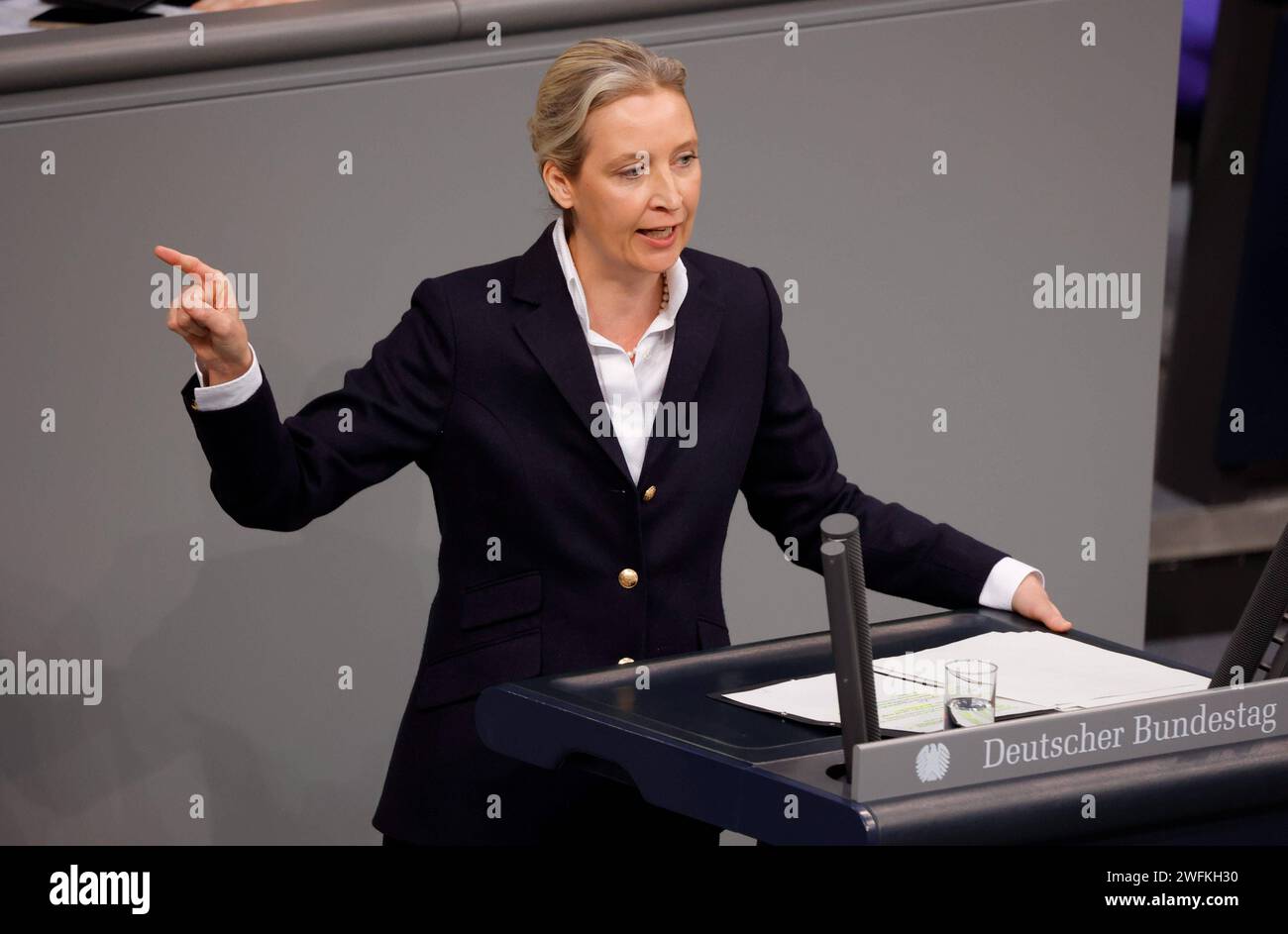 Alice Weidel , AfD, Deutschland, Berlin, Deutscher Bundestag, 150 ...