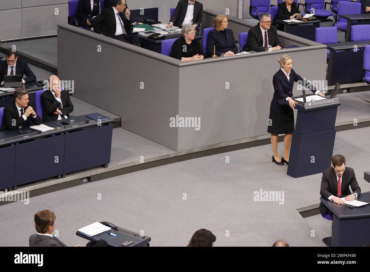 Alice Weidel , AfD, Deutschland, Berlin, Deutscher Bundestag, 150 ...