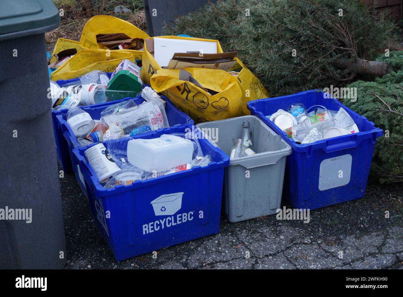 Recycling bins and bags full of waste waiting to be picked up for ...