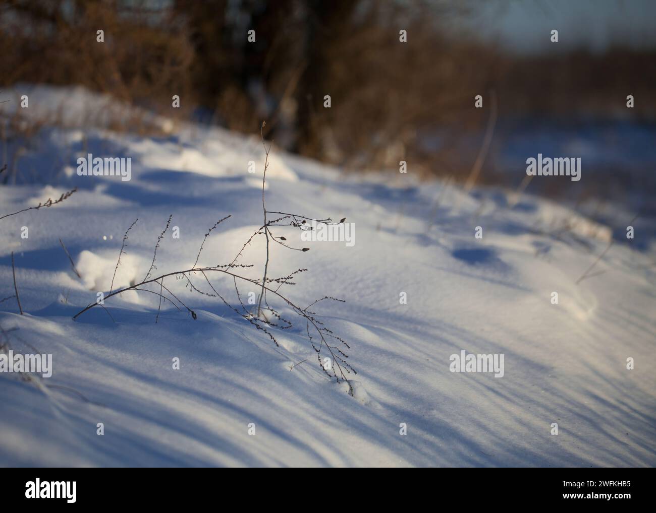 Atmosphericity hi-res stock photography and images - Alamy