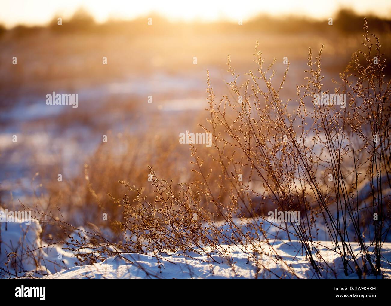 Atmosphericity hi-res stock photography and images - Alamy