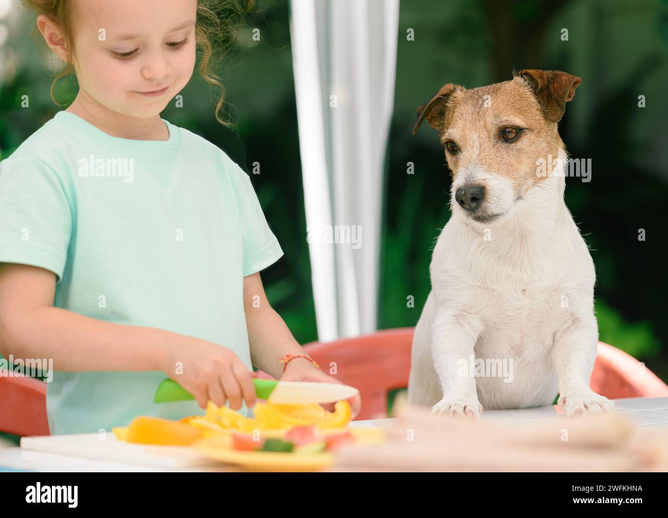 Dog watching how little girl chopping fresh vegetables. Family cooking ...
