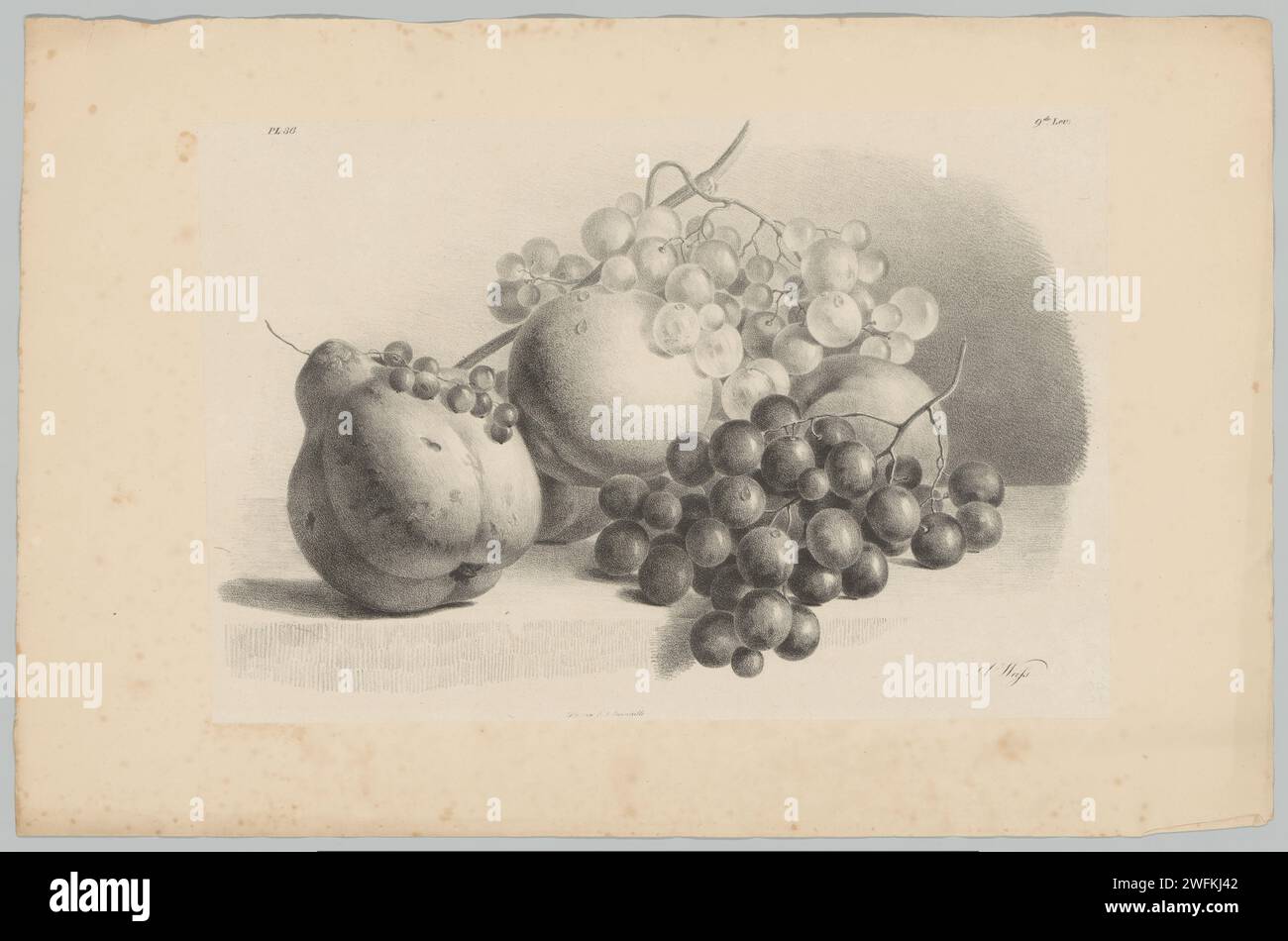 Pumpkin, berries, grapes and peaches, Anton Weiss, 1820 - 1833 print Up ...