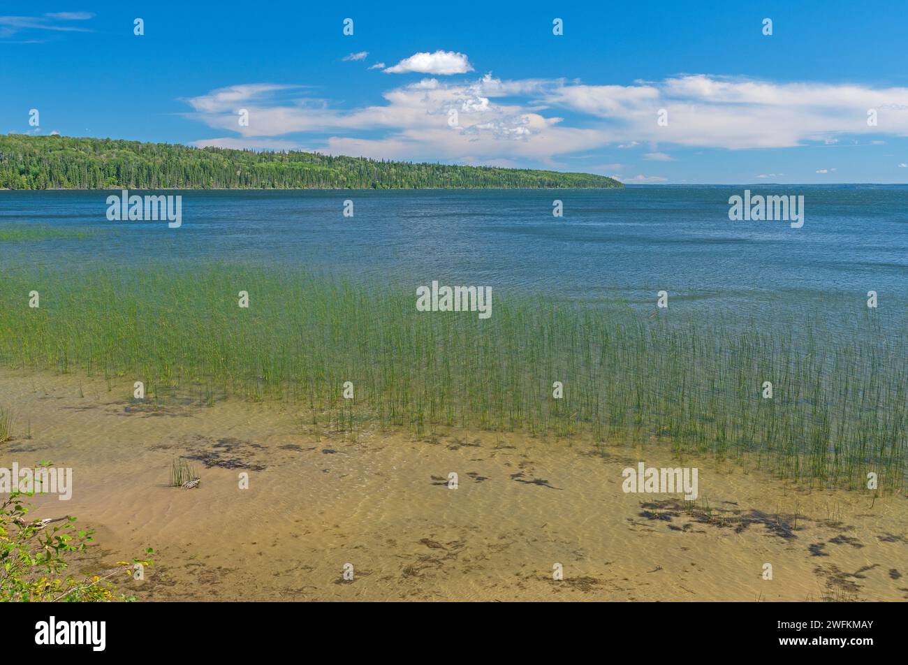 Grassy Shore on a North Woods Lake on Waskesiu Lake in Prince Albert ...
