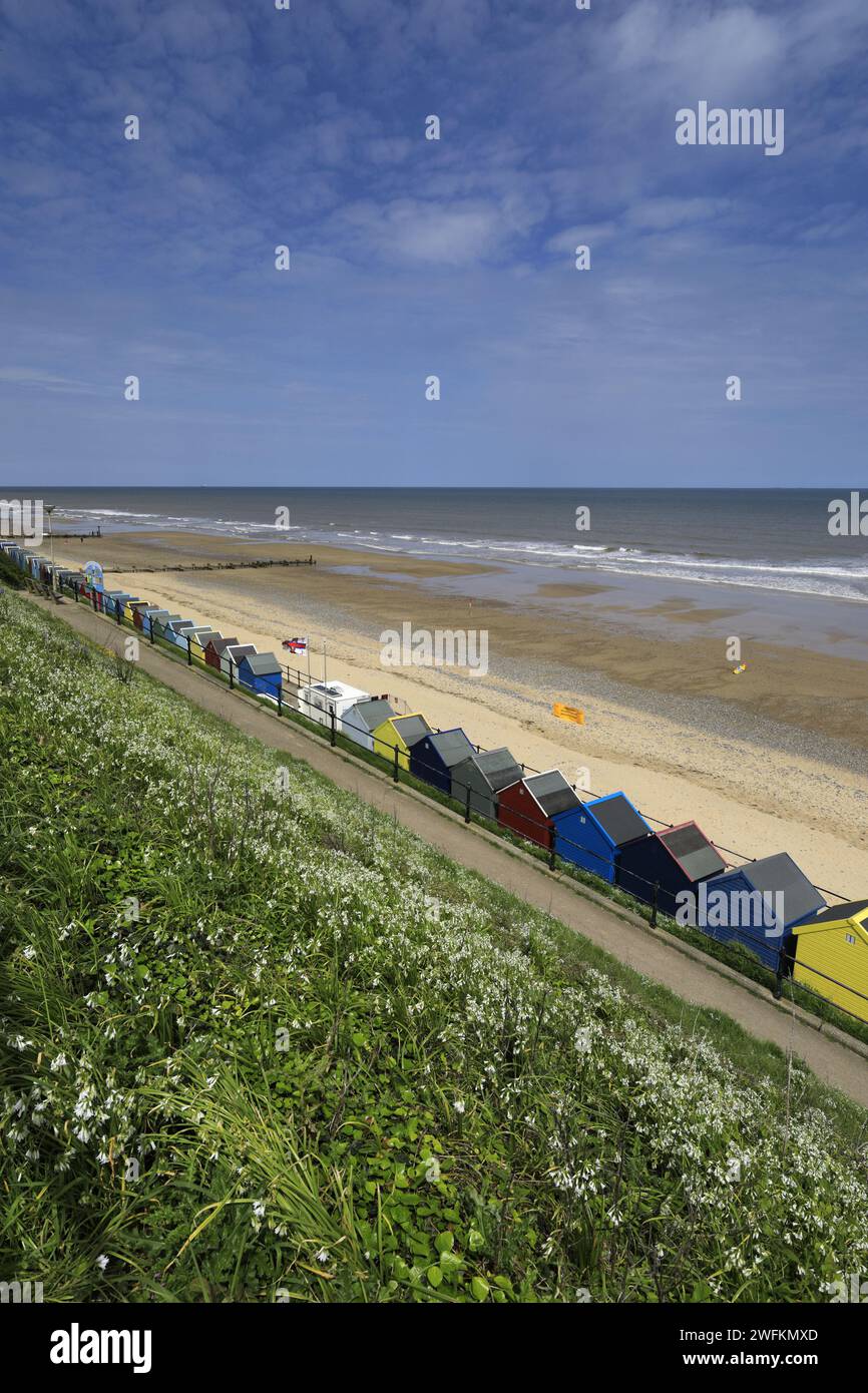 Beach huts and the beach at Mundesley village, North Norfolk, England ...