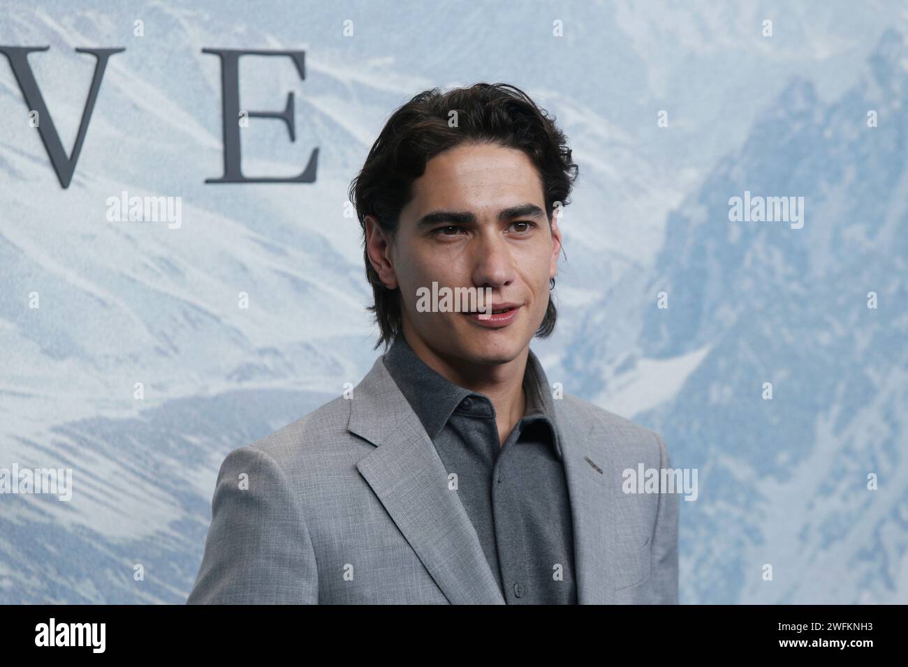 Madrid, Spain. 14th Dec, 2023. The Uruguayan actor, Enzo Vogrincic ...
