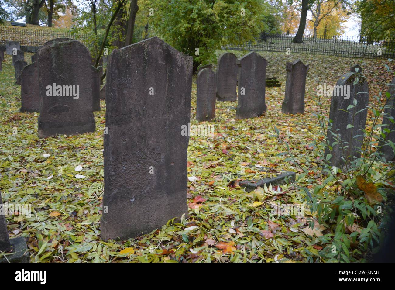 Kronoberg jewish cemetery hi-res stock photography and images - Alamy