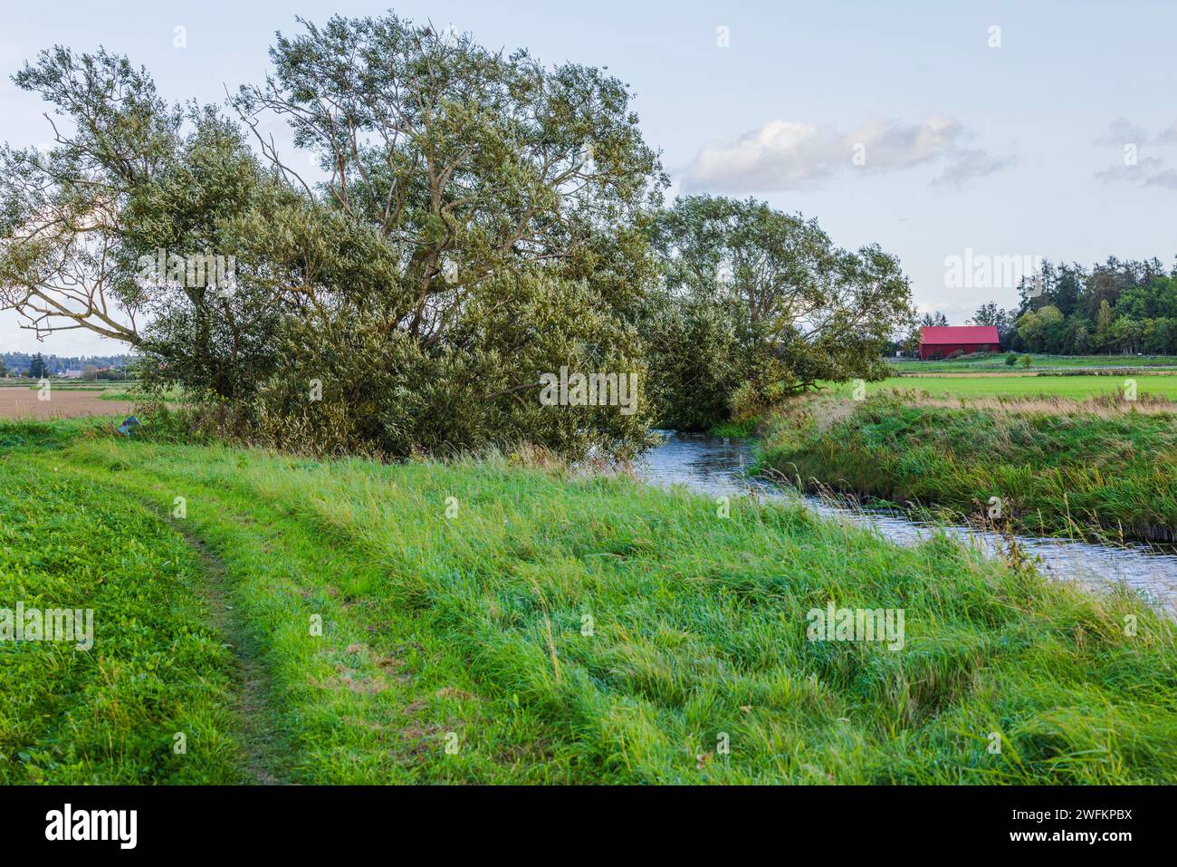 Beautiful view of landscape with river flowing through fields against ...