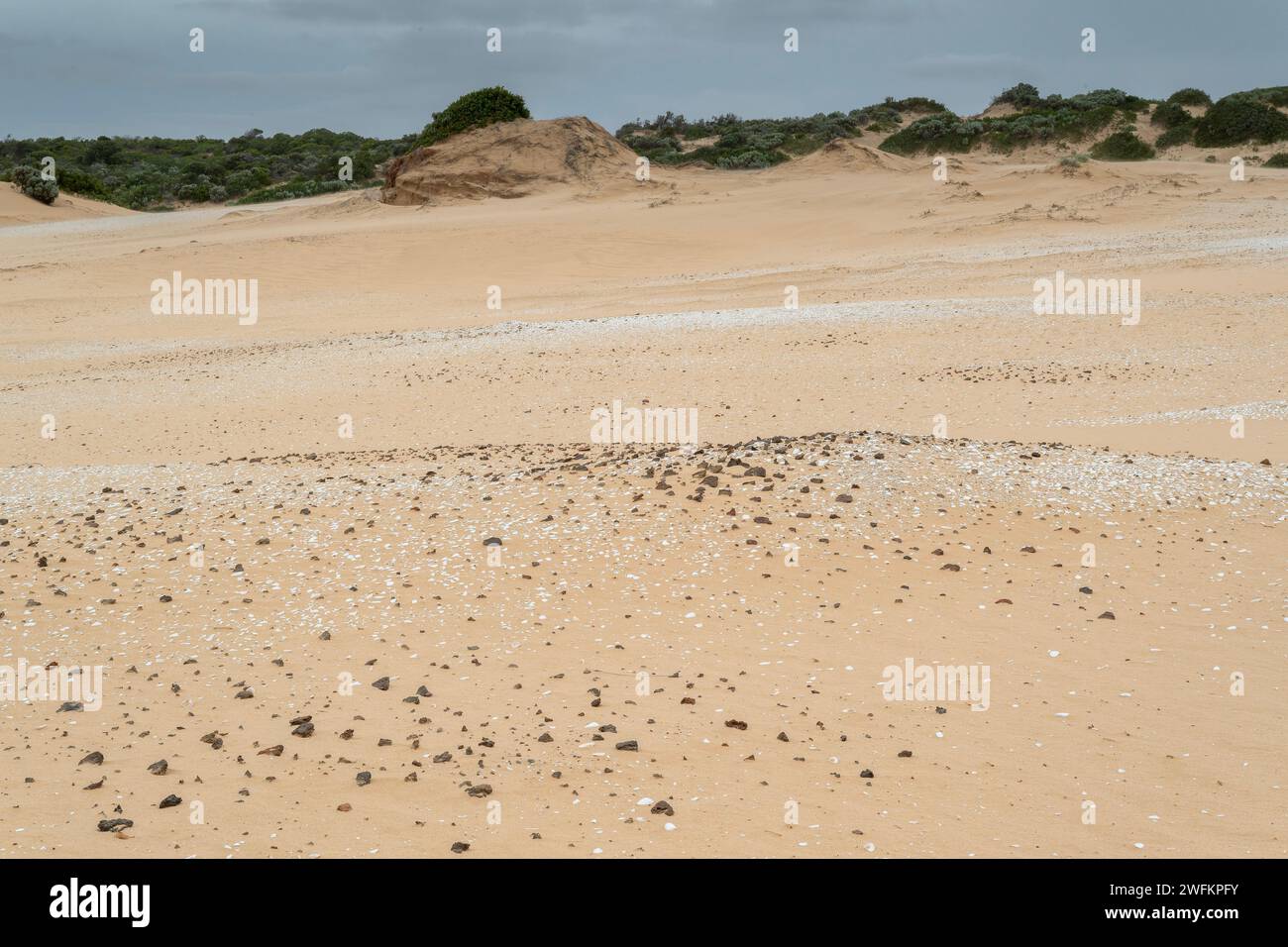 Sand Dunes Alongside The Coorong Lagoon With Shell Midden Or Shell Mound South Australia